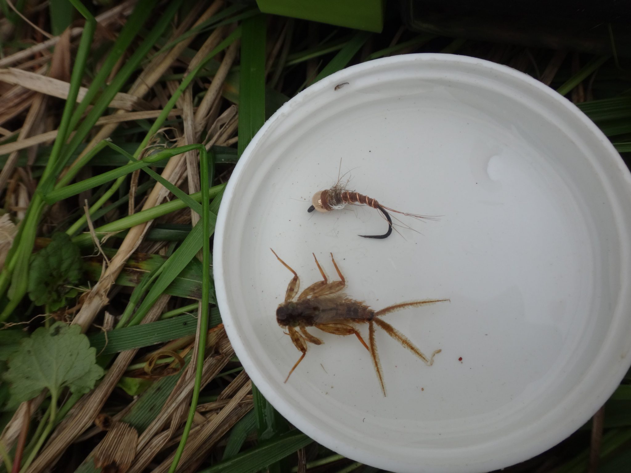 Best Ontario trout flies used by Ontario's top river guide