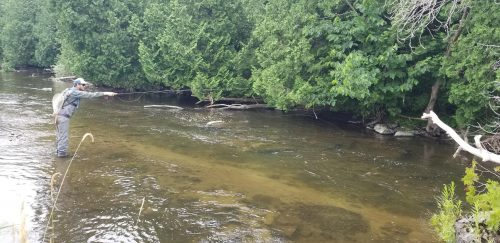 Fishing The Credit River - A Perfect Drift